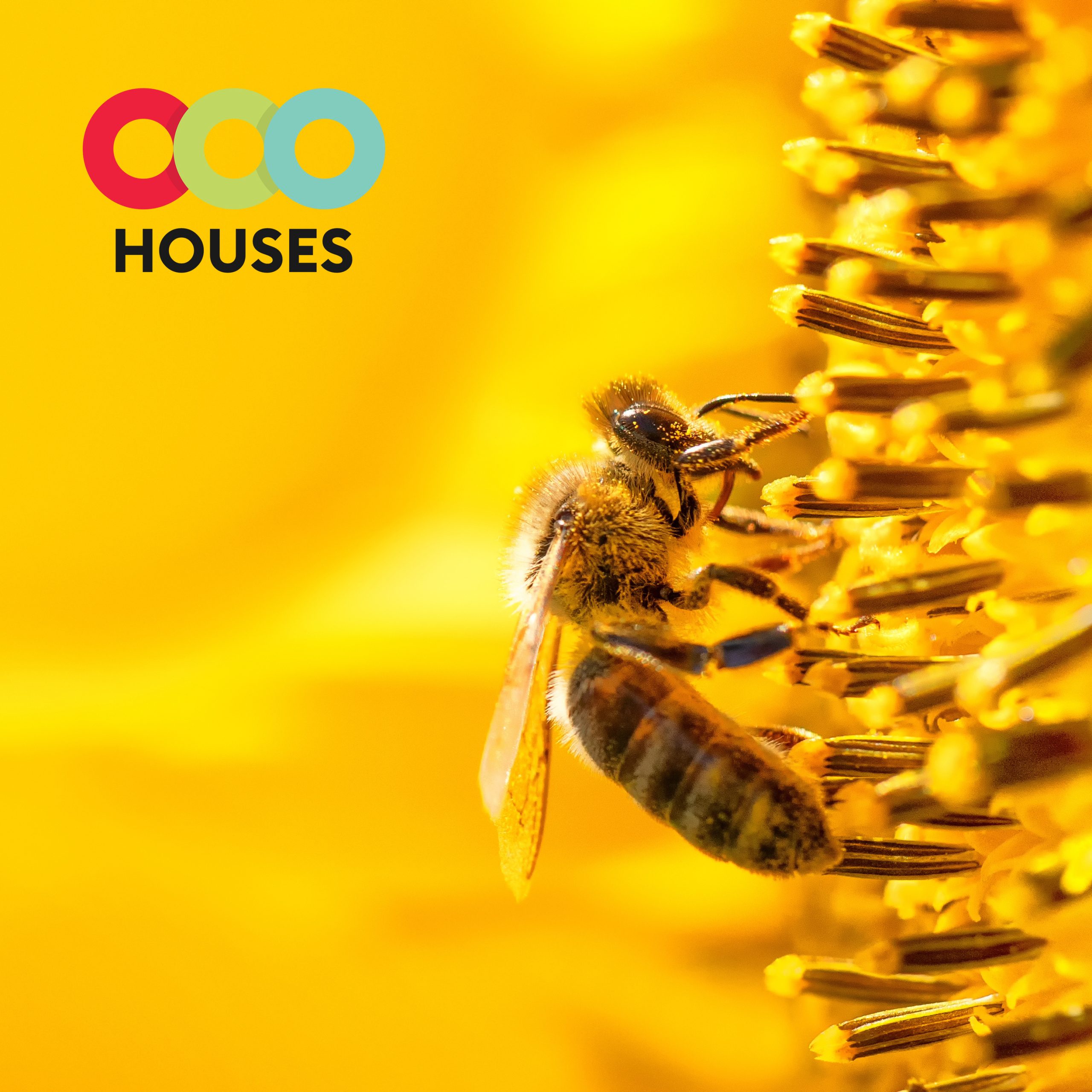 The role of bees in global food security - ooo houses